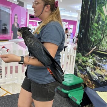 Gallery - Wild Rangers Wildlife To You