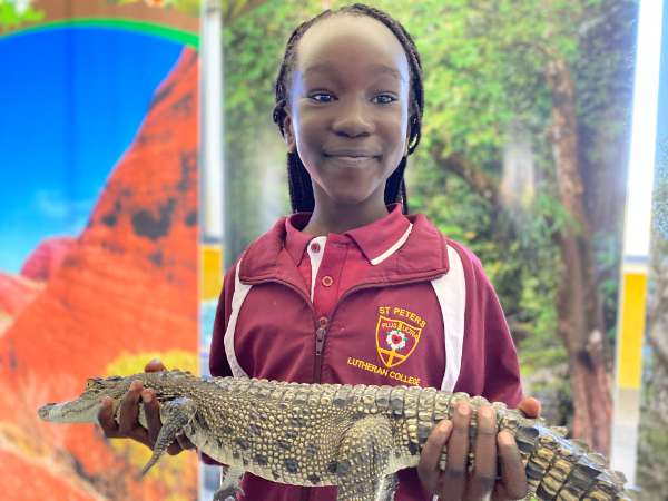 School Incursions - Wild Rangers Wildlife To You