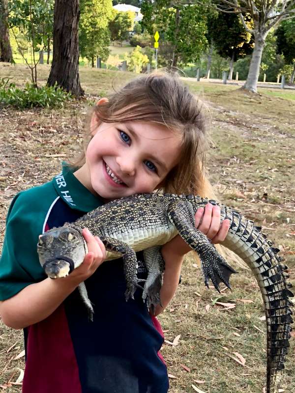 School Incursions - Wild Rangers Wildlife To You