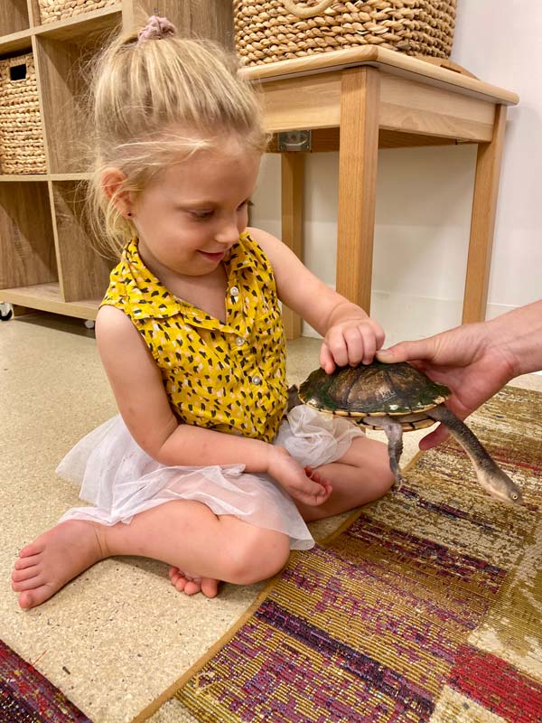 Childcare Centres & Kindergarten Incursions - Wild Rangers Wildlife To You